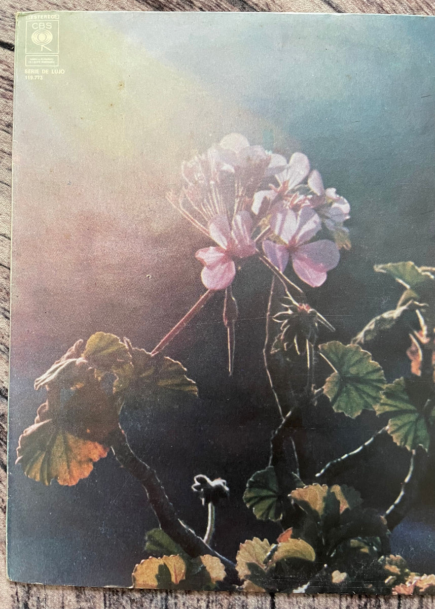 Luis Alberto Spinetta ‎– A 18' Del Sol – Galapagos Records